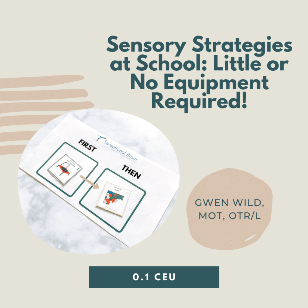 Sensory AND Behavior: A Comprehensive Approach to Addressing ...