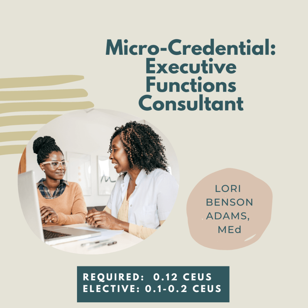 Micro-Credential Programs – SensationalBrain