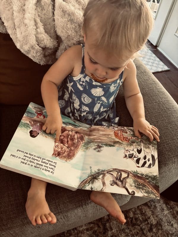 Crawling Program Bundle!